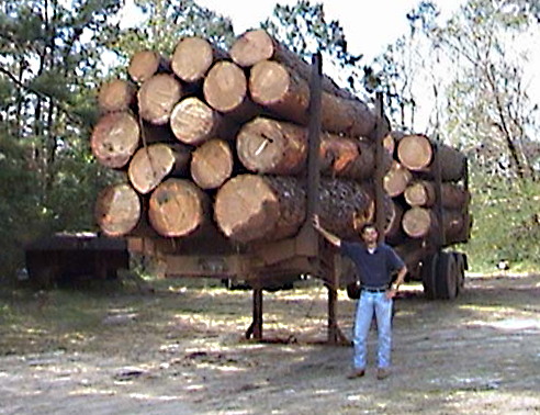 Timber sales throughout Alabama